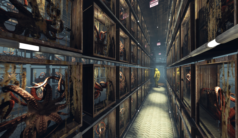 Octopus Farm – ⚡️ Power Nap Studio, New York